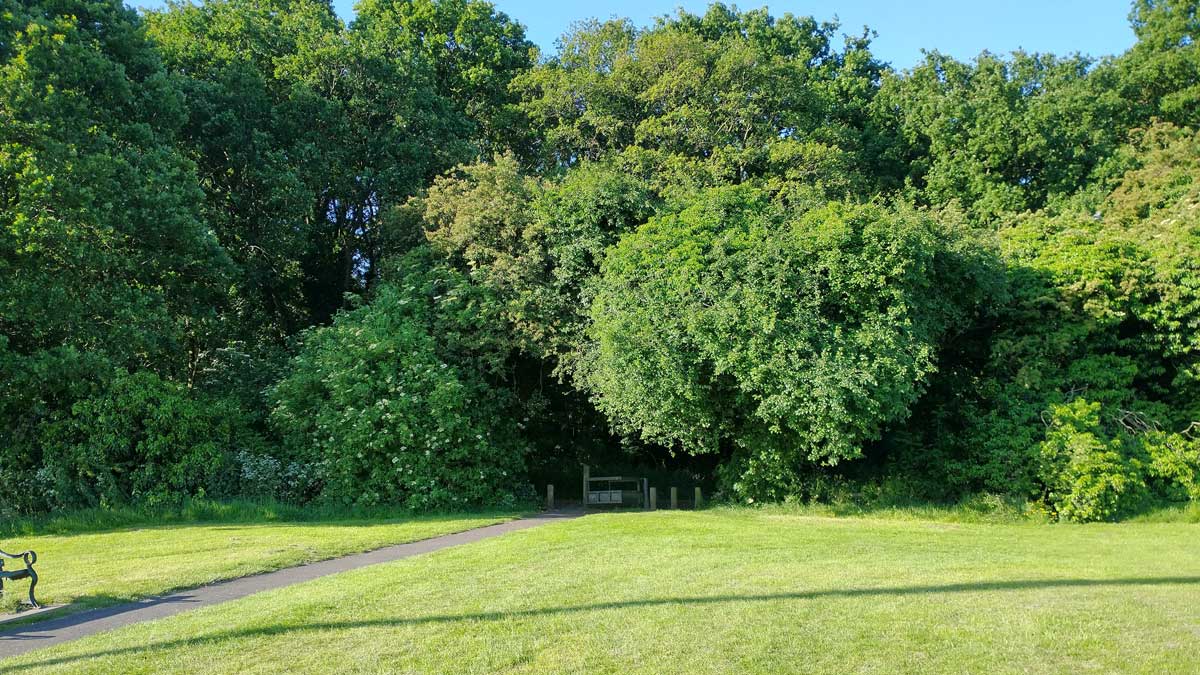 Hobs Moat Ancient Monument – Solihull Life